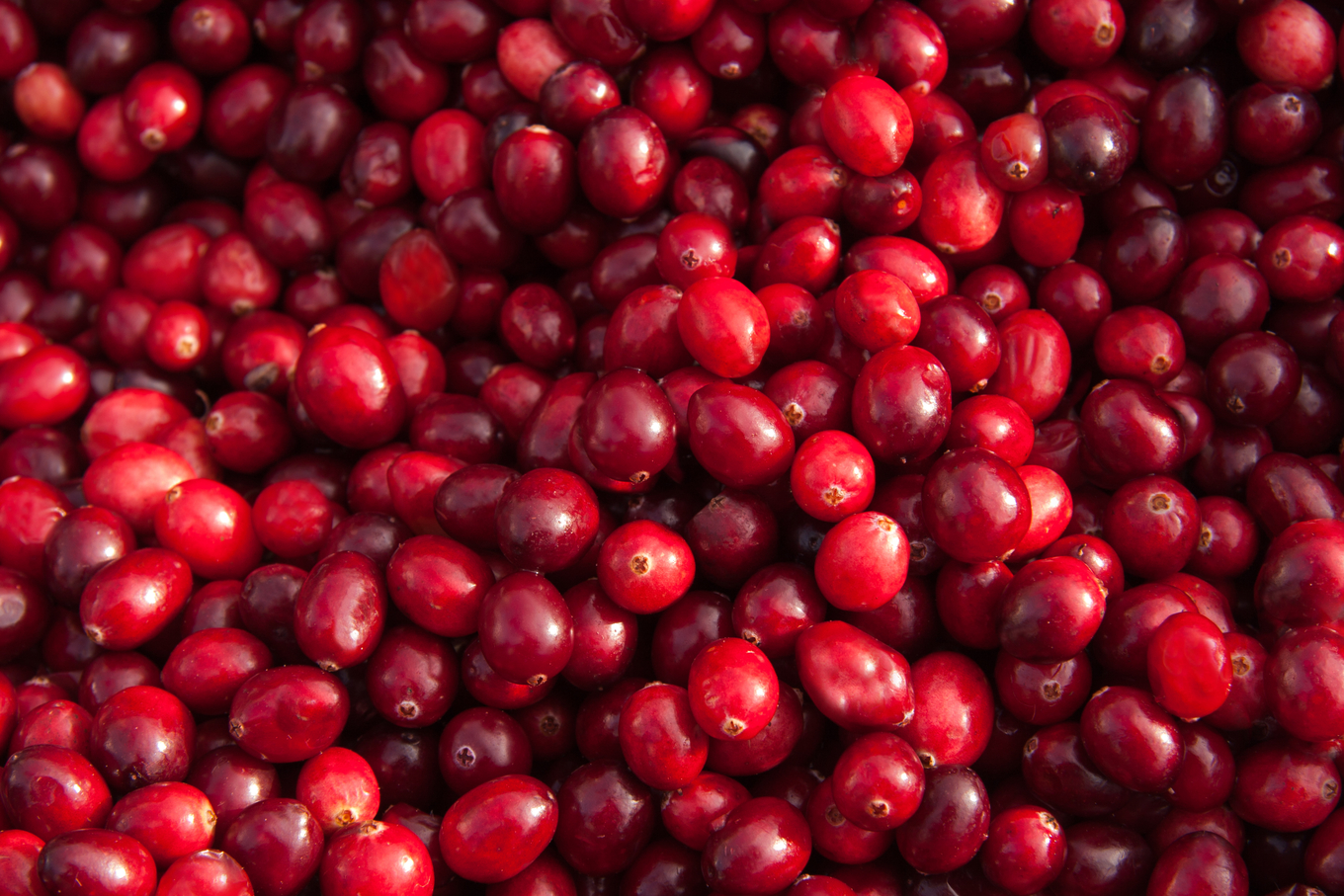 Cranberry Juice