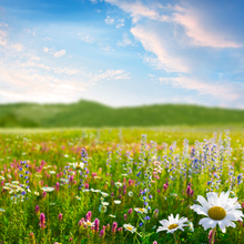 On this day 20 March - Spring Equinox in the Northern Hemisphere