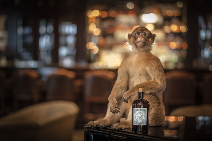 Origins of Black Forest Distillers
