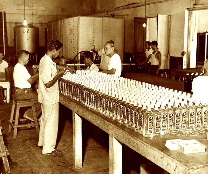 Tanduay Distillers - History