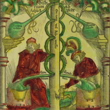 The life and times of aqua vitae