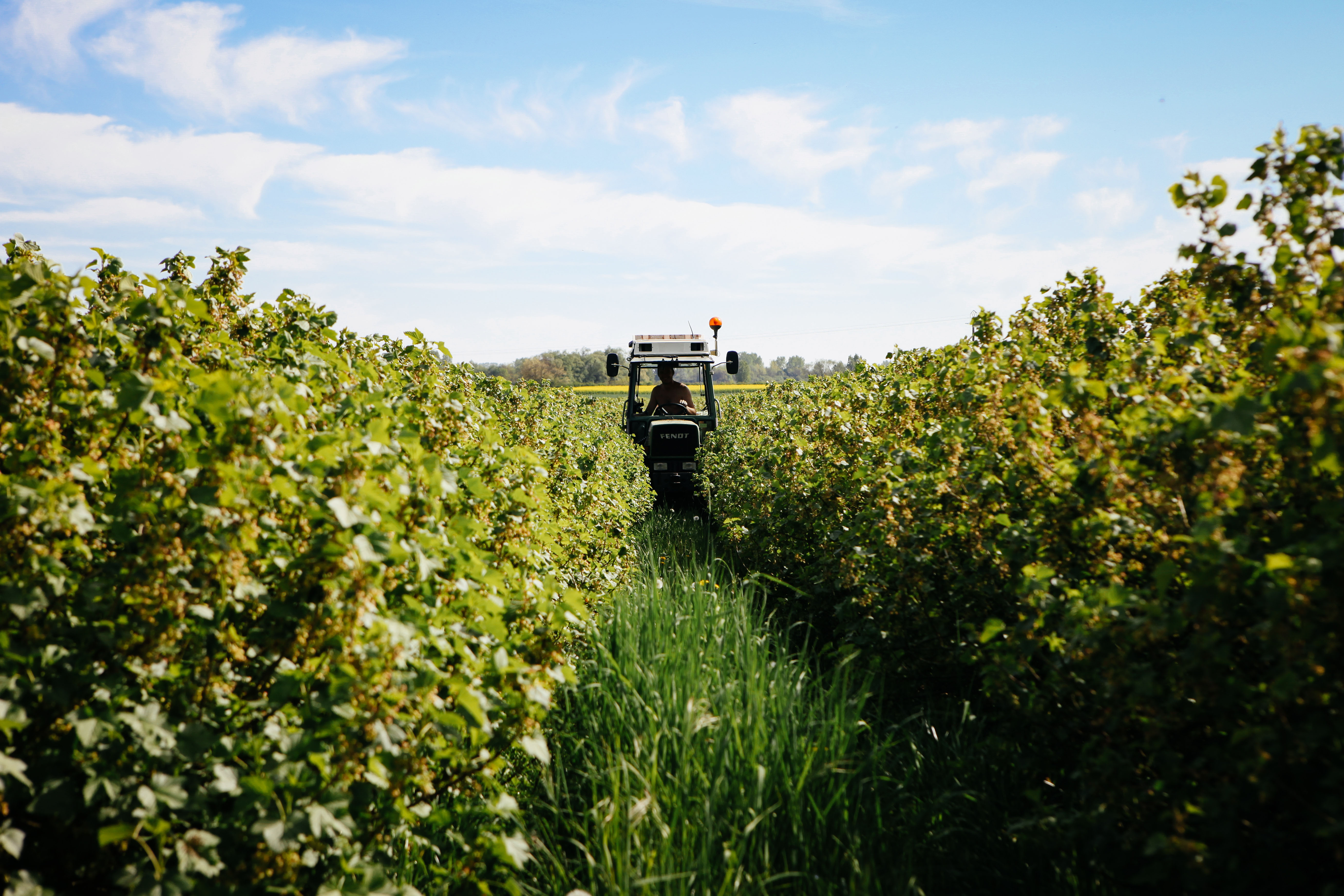 Lejay Lagoute S.A.S.