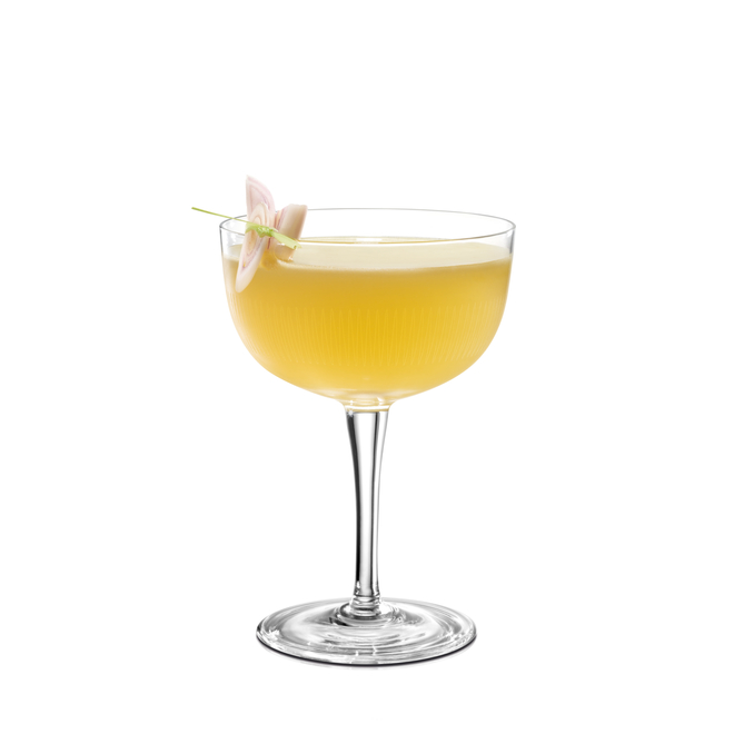 Four Seasons Cocktail Recipe